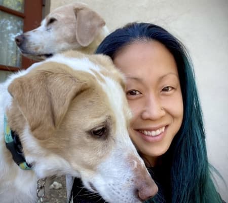 Maddie’s Fellowship Program – Shelter Medicine – UW–Madison