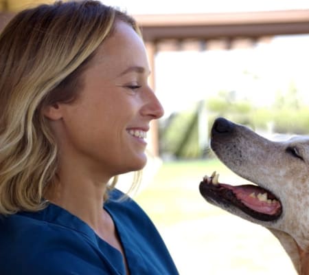Maddie’s Fellowship Program – Shelter Medicine – UW–Madison