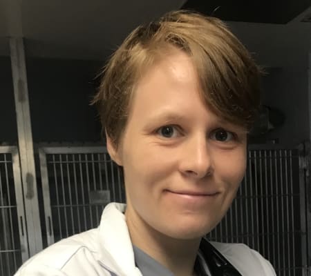 Maddie’s Internship – Shelter Medicine – UW–Madison