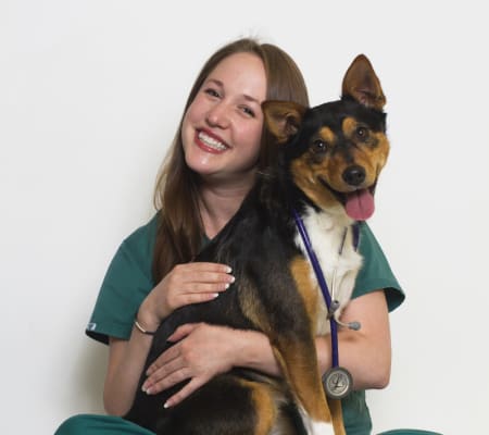 Maddie’s Fellowship Program – Shelter Medicine – UW–Madison
