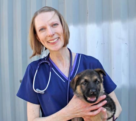 Maddie’s Fellowship Program – Shelter Medicine – UW–Madison