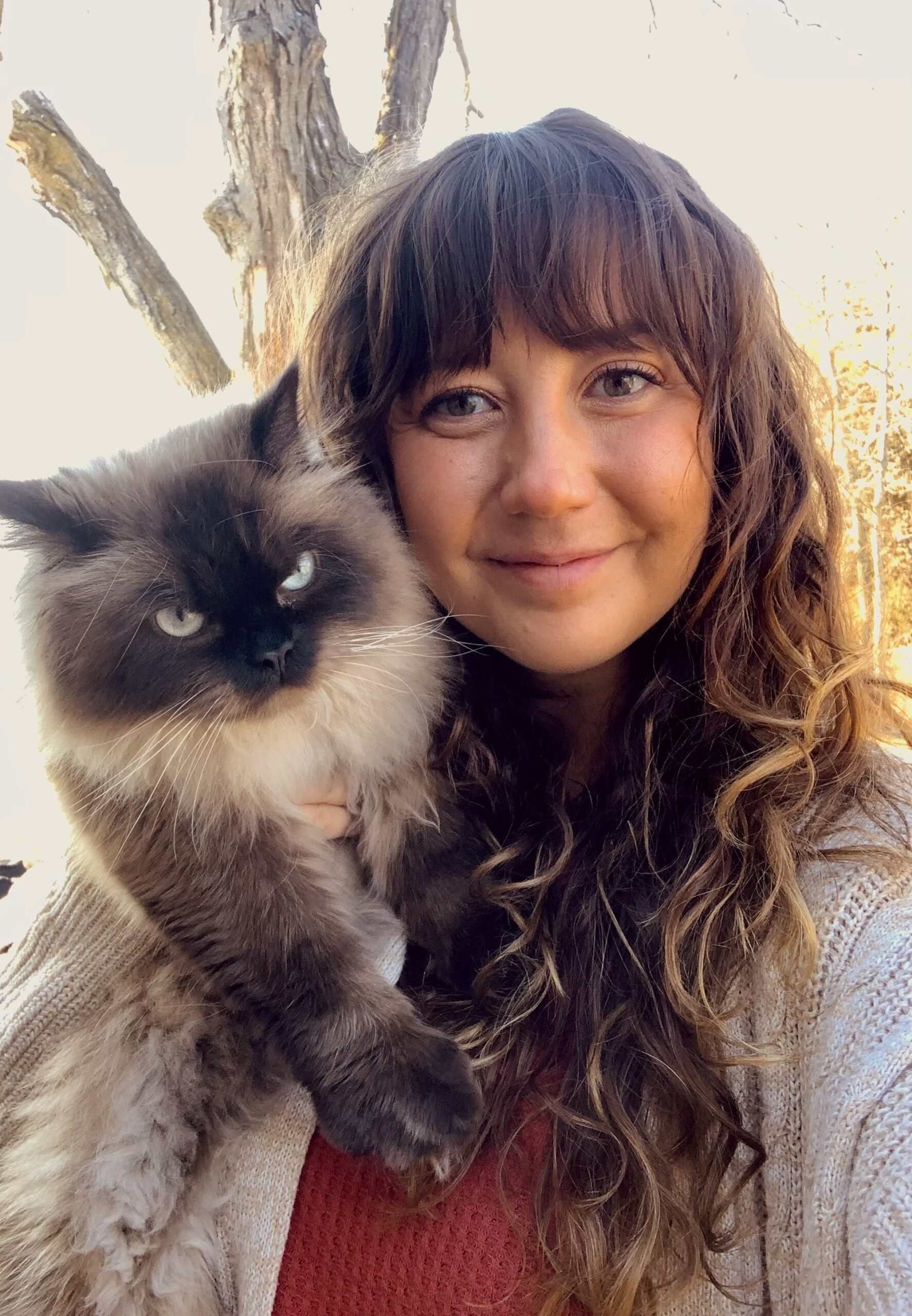 Team – Shelter Medicine – UW–Madison