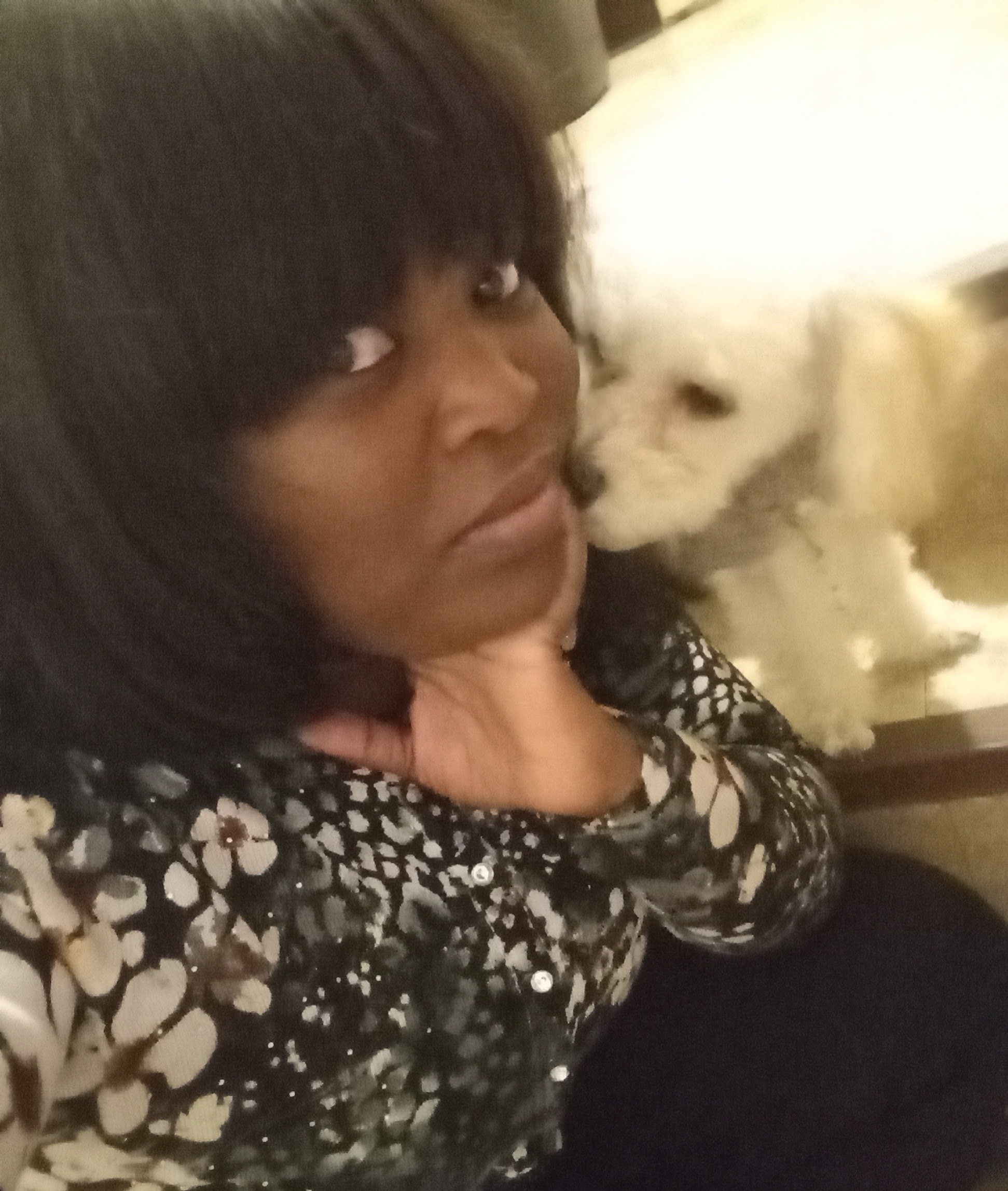 Team – Shelter Medicine – UW–Madison